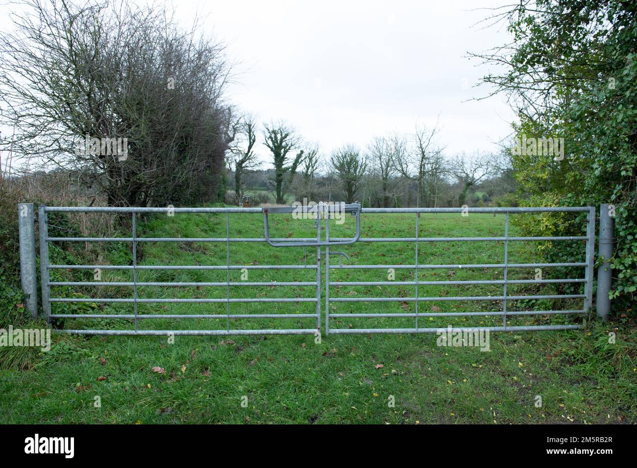 Metal, Modern, Farm Field Gate, Countryside, Jersey, Channel Islands ...