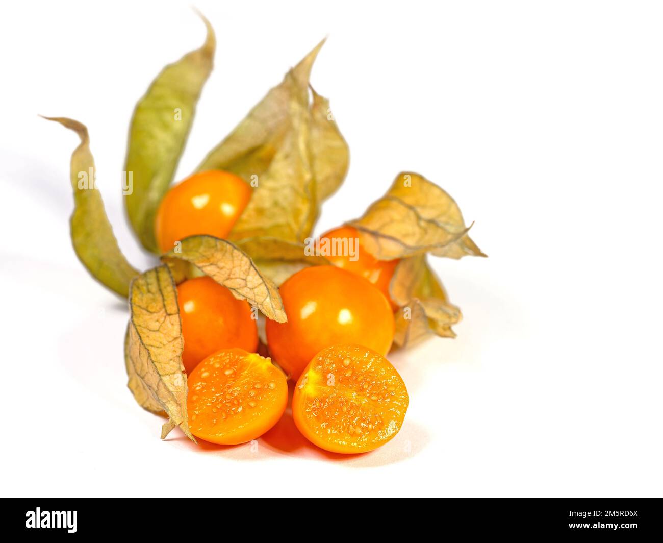 Cape gooseberries isolated against white background Stock Photo - Alamy