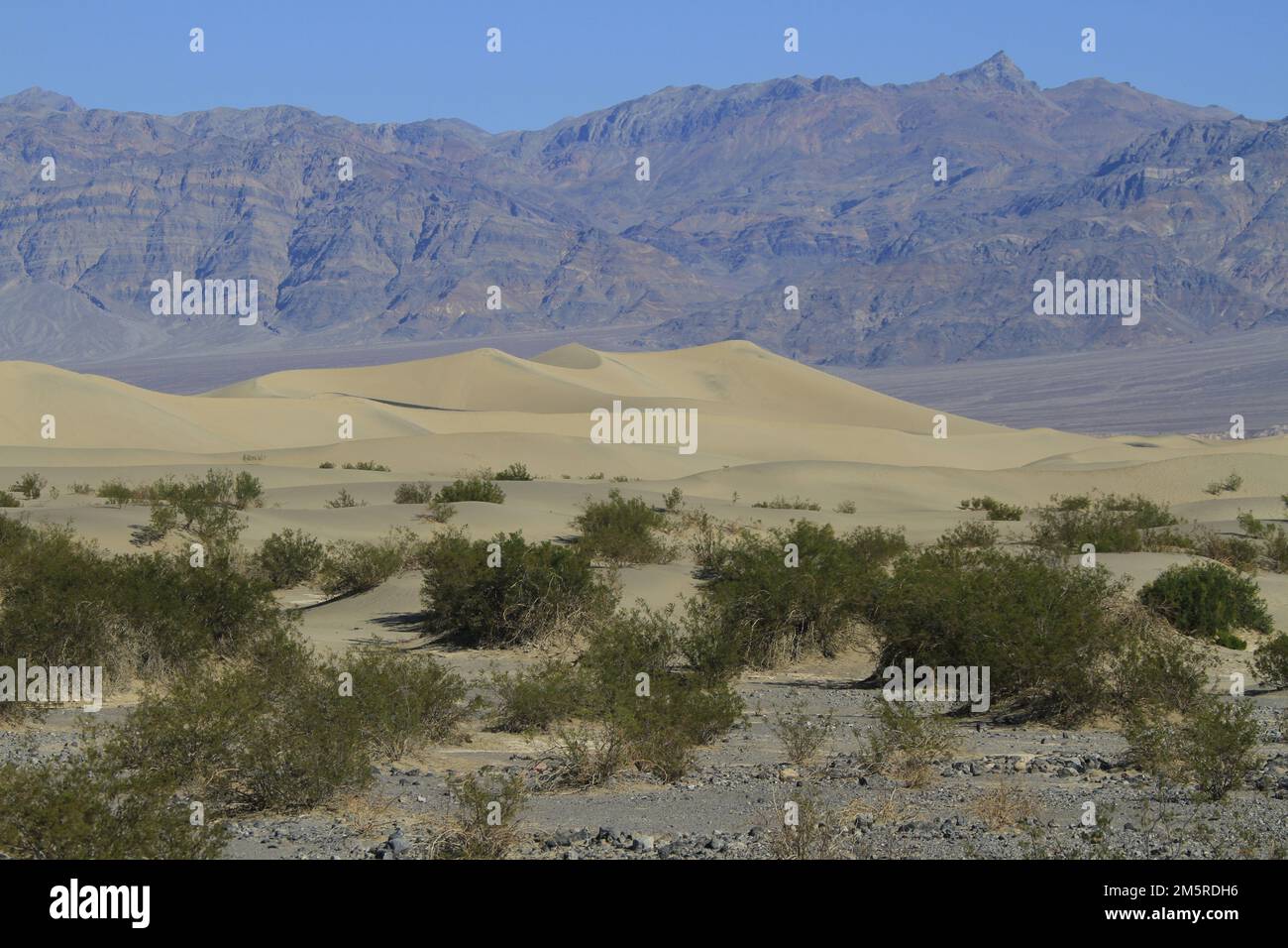 Death Valley national park, california Stock Photo - Alamy