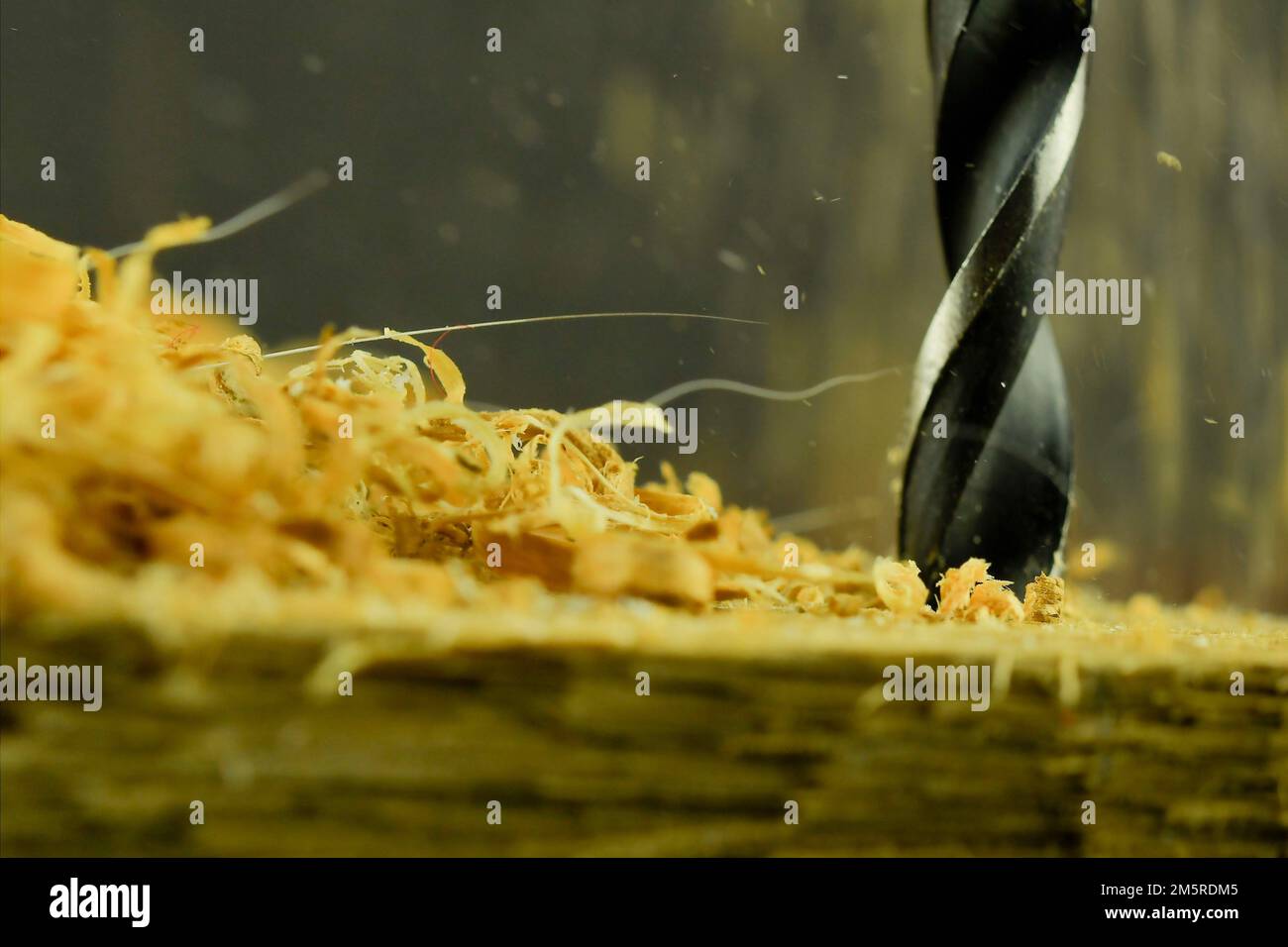 Rotating drill in wood. Drill with flying wood chips. Concept for ...