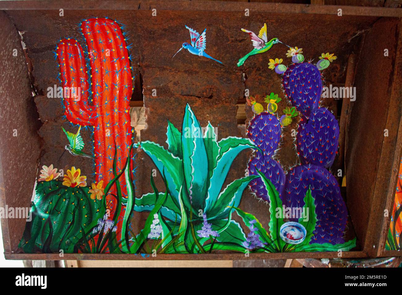 Colorful Mexican cactus Stock Photo - Alamy