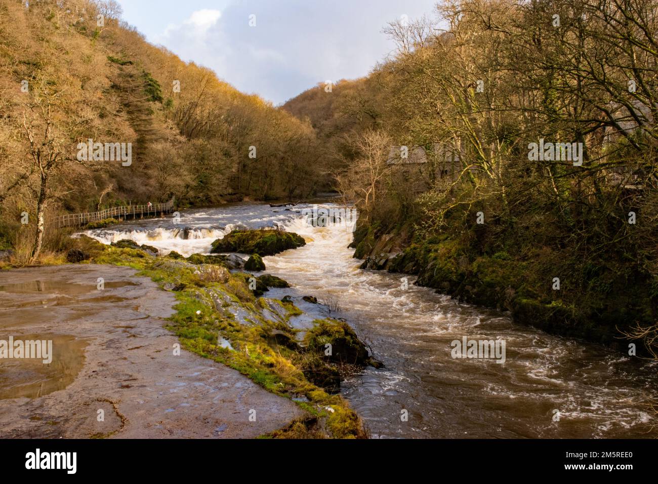 Cenarth Falls. Ceredigion, West Wales. UK Stock Photo - Alamy