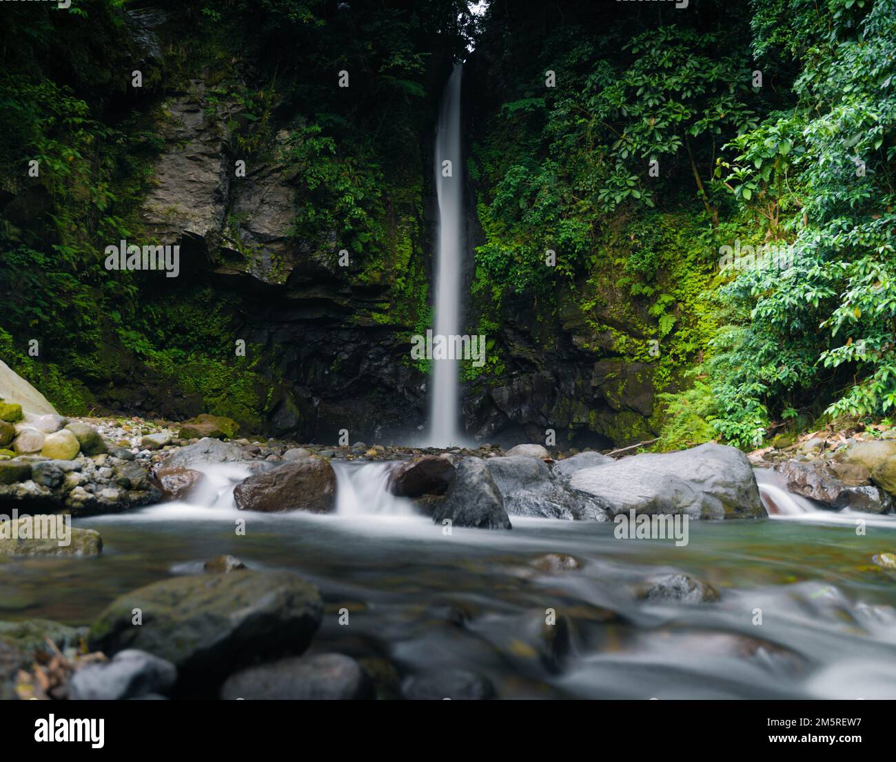 An image of a water falling on stones with plants on both sides Stock ...
