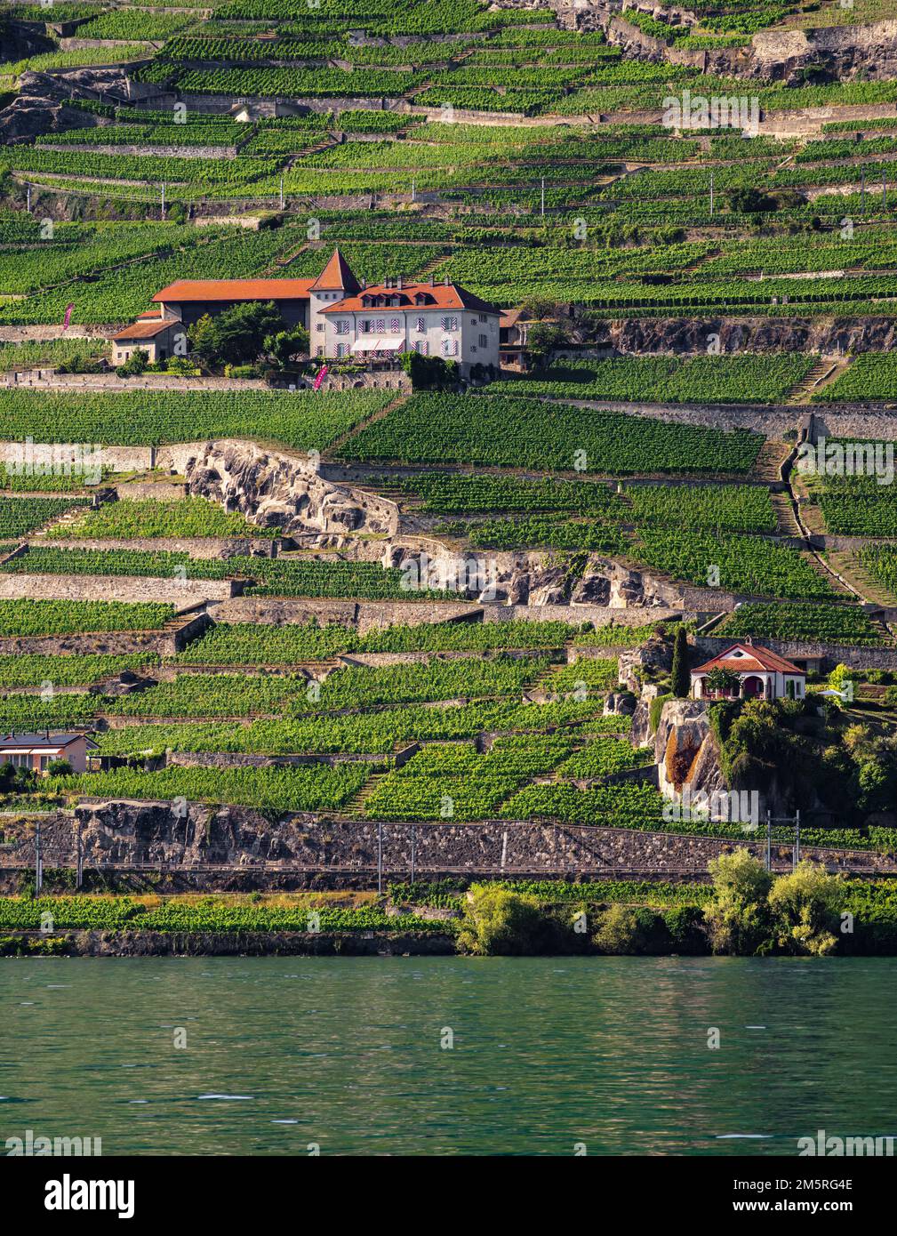 Terraces of Lavaux at Lake Geneva in Switzerland - UNESCO heritage ...