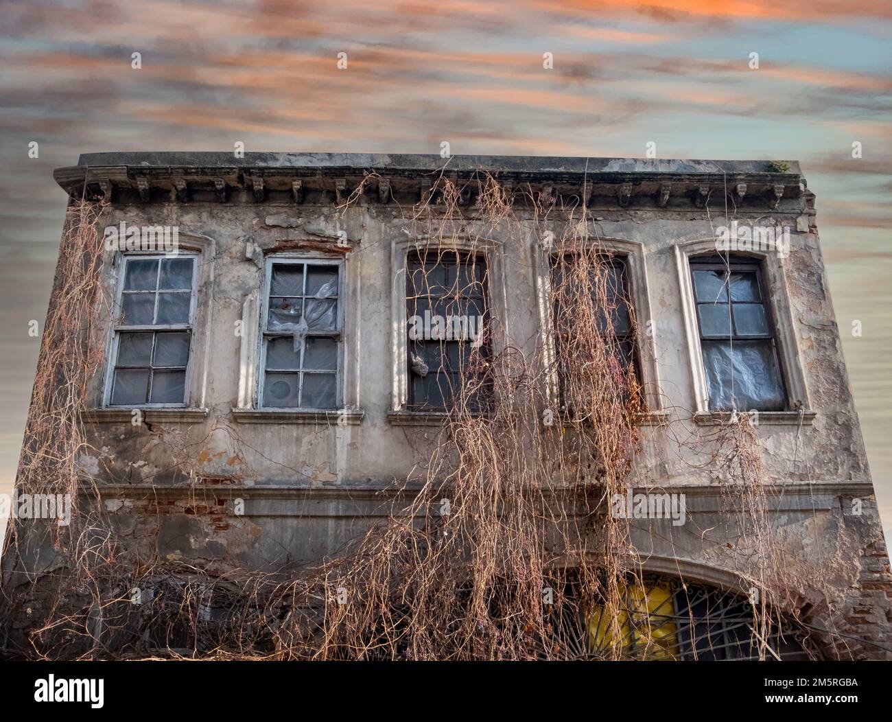 Abandoned Building. Old abandoned building covered with ivy. Haunted ...