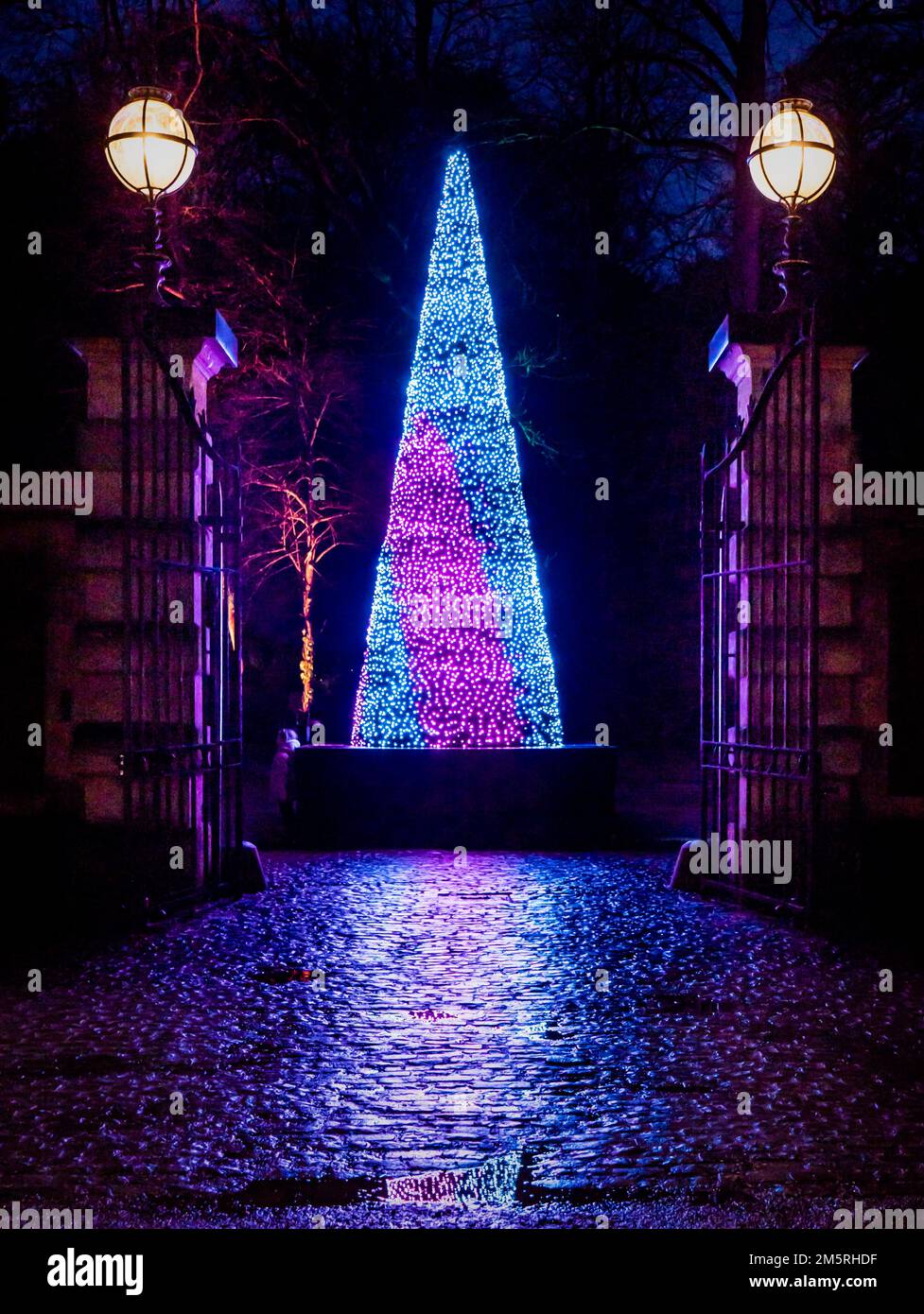 An ever-changing LED cone shaped Christmas tree at the stables at ...