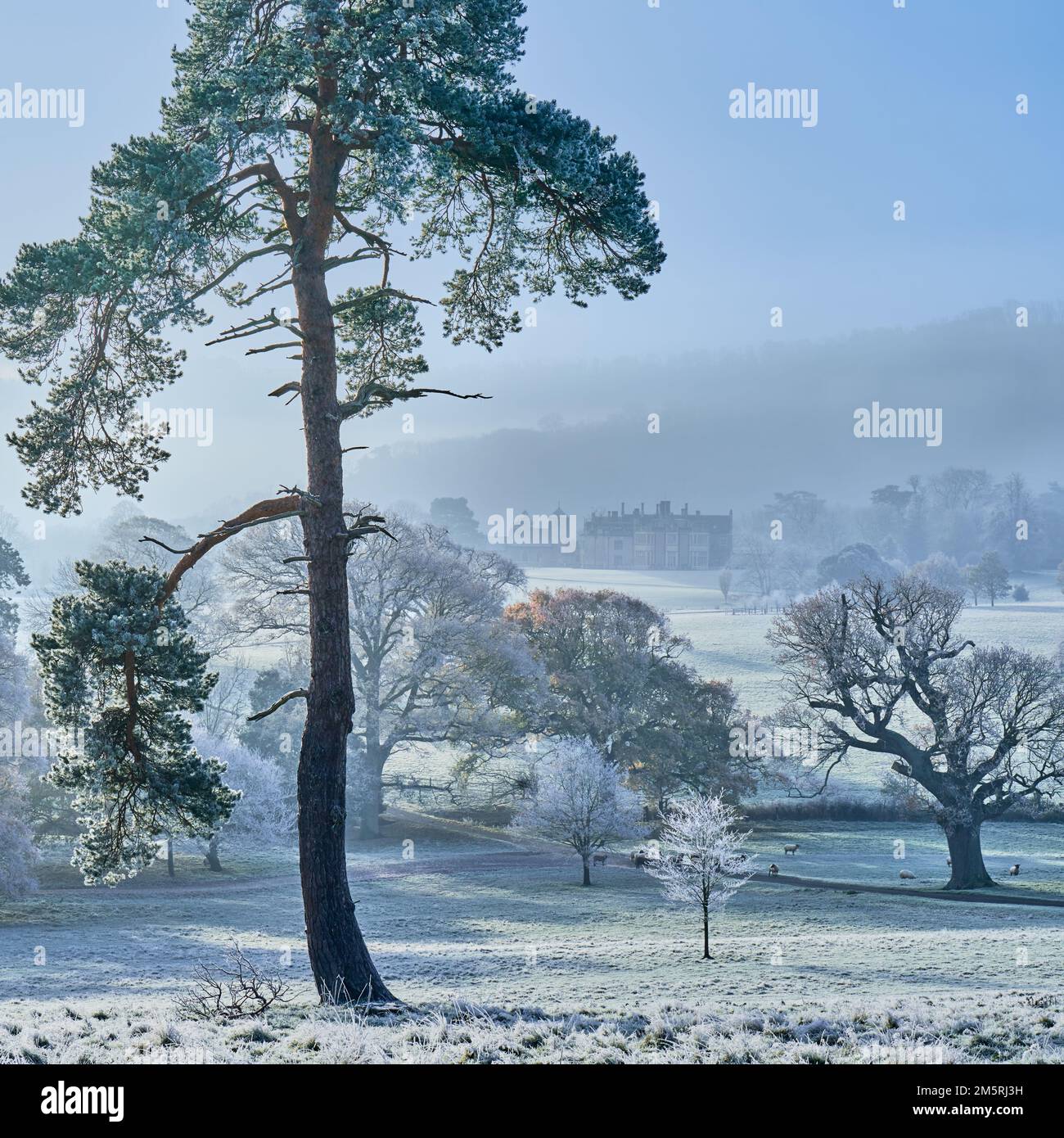 View of Wiston House on a cold frosty day Stock Photo - Alamy