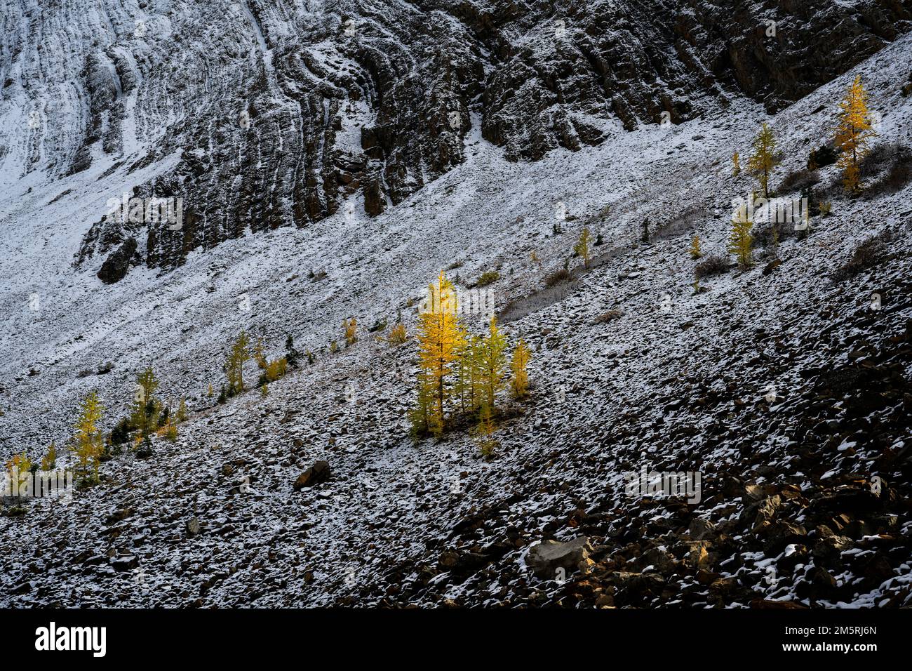 Pocaterra hi-res stock photography and images - Alamy