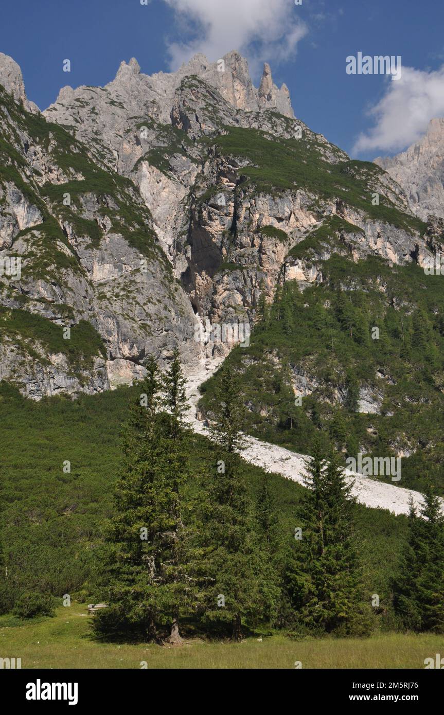 A vertical shot of jagged mountains, the forest on its hillside and ...