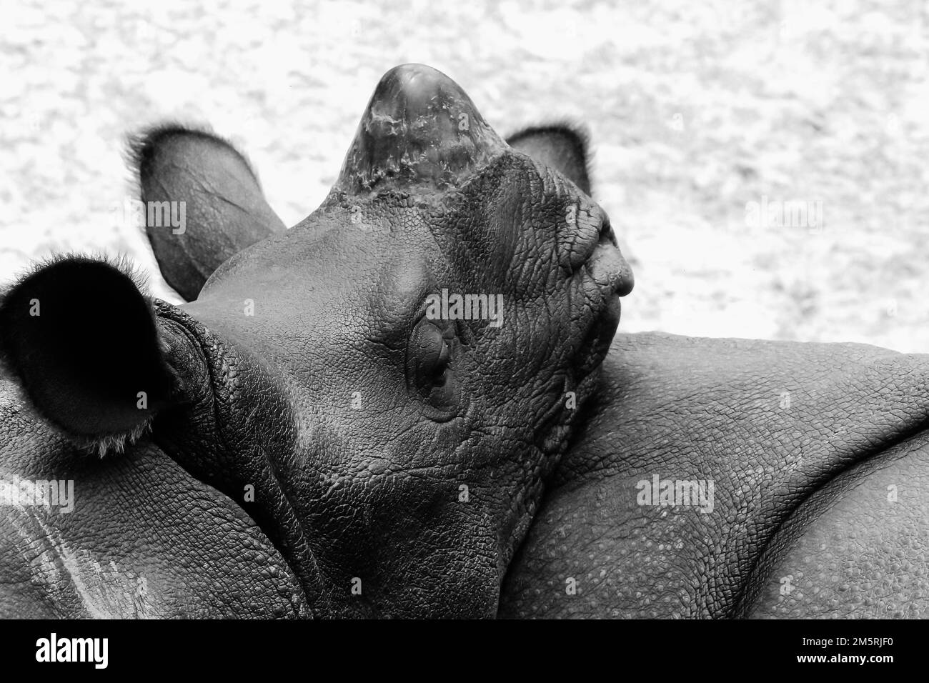 People sharing Black and White Stock Photos & Images - Alamy