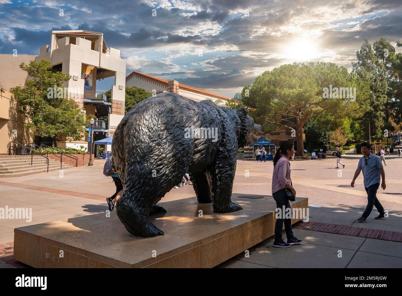 Black bronze statue of Bruin and UCLA building under cloudy sky at ...