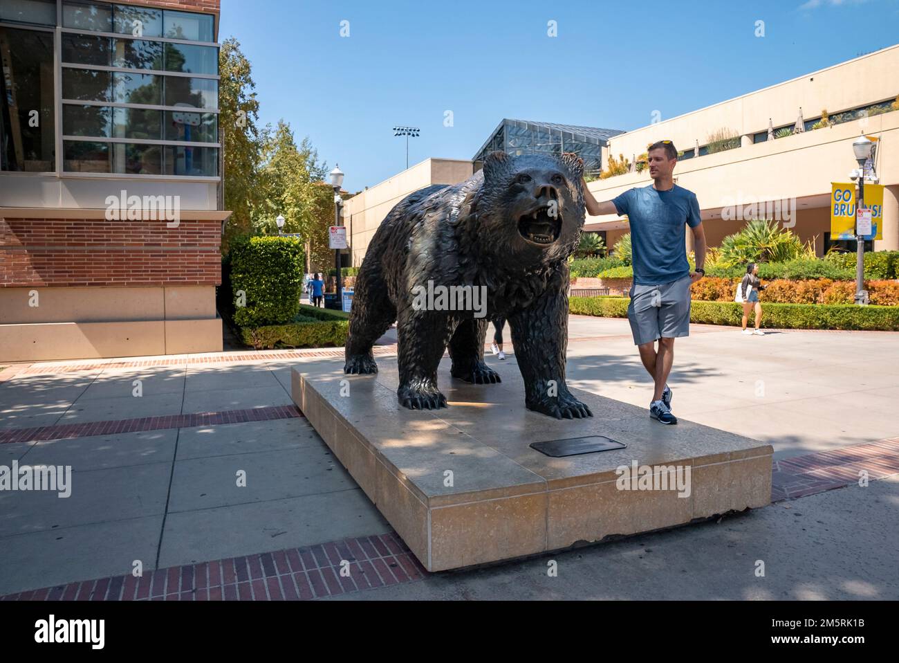 Ucla bruin statue hi-res stock photography and images - Alamy