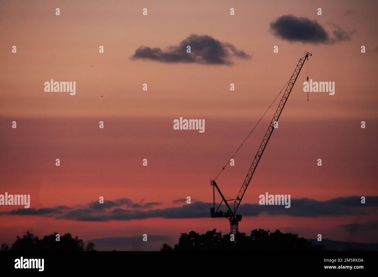 A beautiful view of a crane on a scenic sunset sky background Stock ...