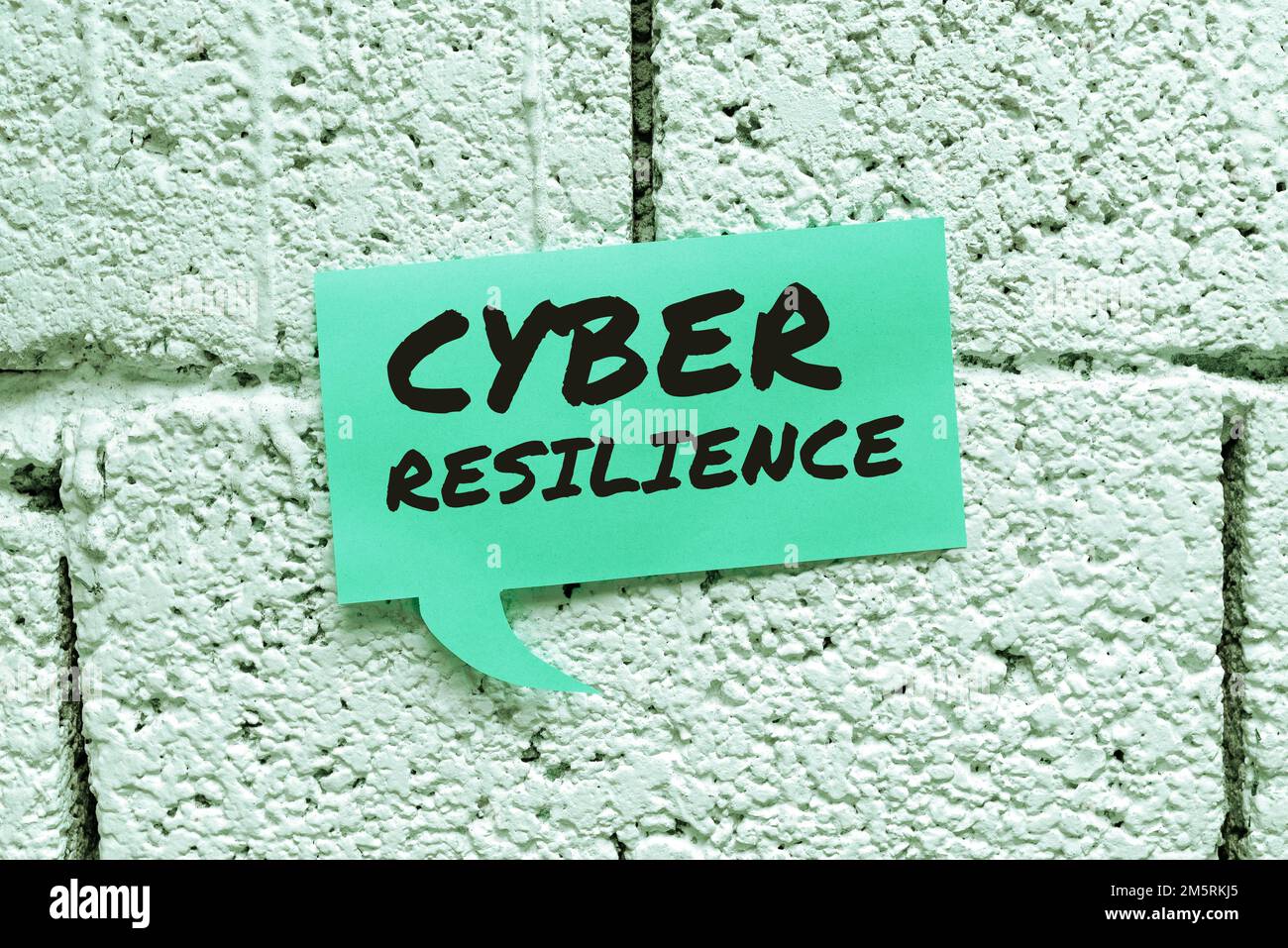Inspiration showing sign Cyber Resilience. Internet Concept measure of ...