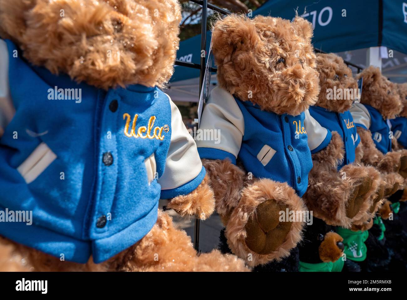 Teddy bears wearing blue shirts with UCLA text hanging for sale at ...