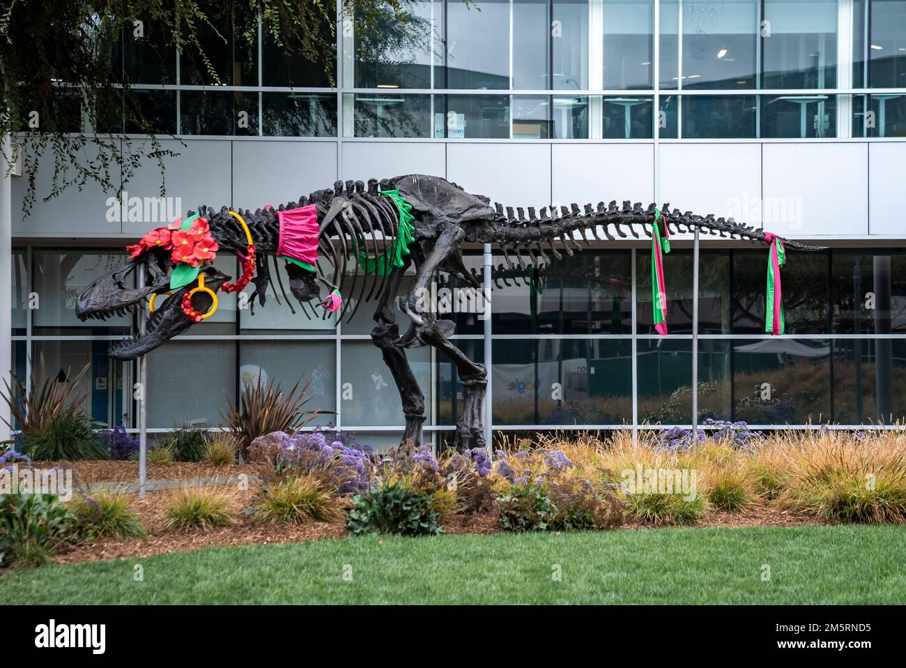 Decorated dinosaur skeleton statue by plants outside google office ...