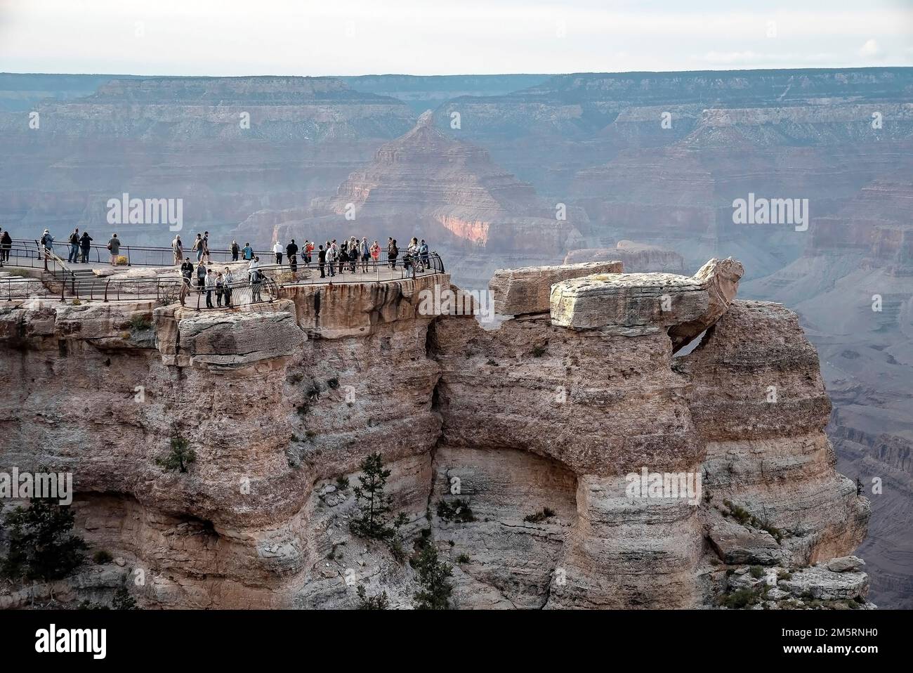 People Exploring Grand Canyon National Park From Observation Point ...