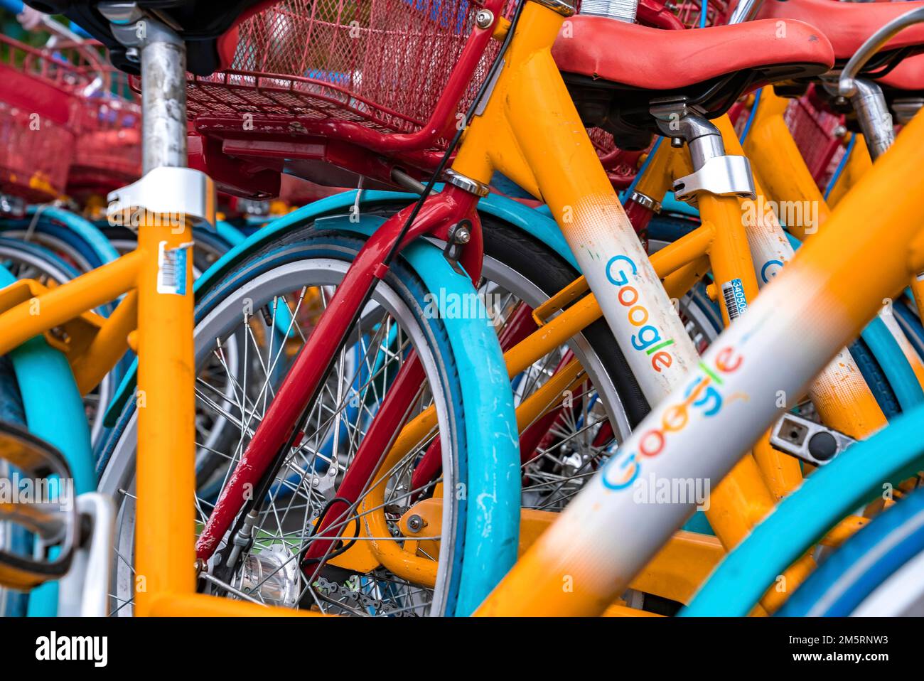 Detail shot of logo on google bicycles parked at parking lot in campus ...