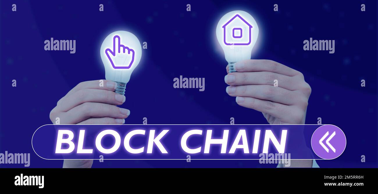 Text sign showing Block Chain, Concept meaning system in which a record ...