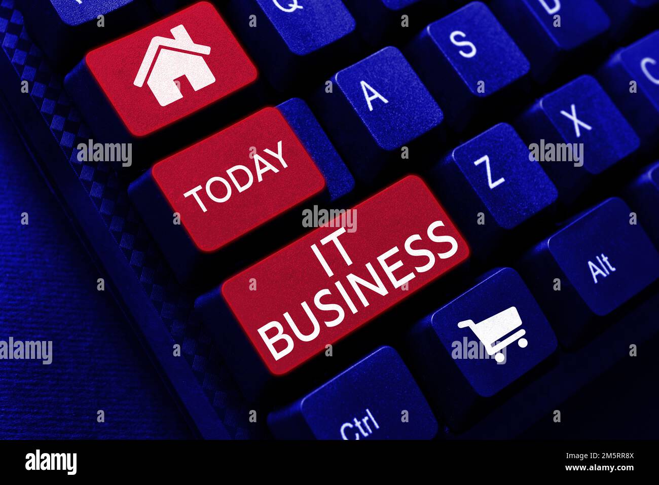 Sign displaying It Business. Conceptual photo organization uses ...