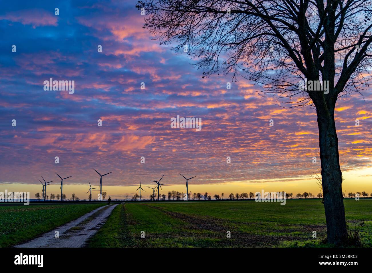 Wind farm near Holzweiler, City of Erkelenz, Wind power plants, NRW ...