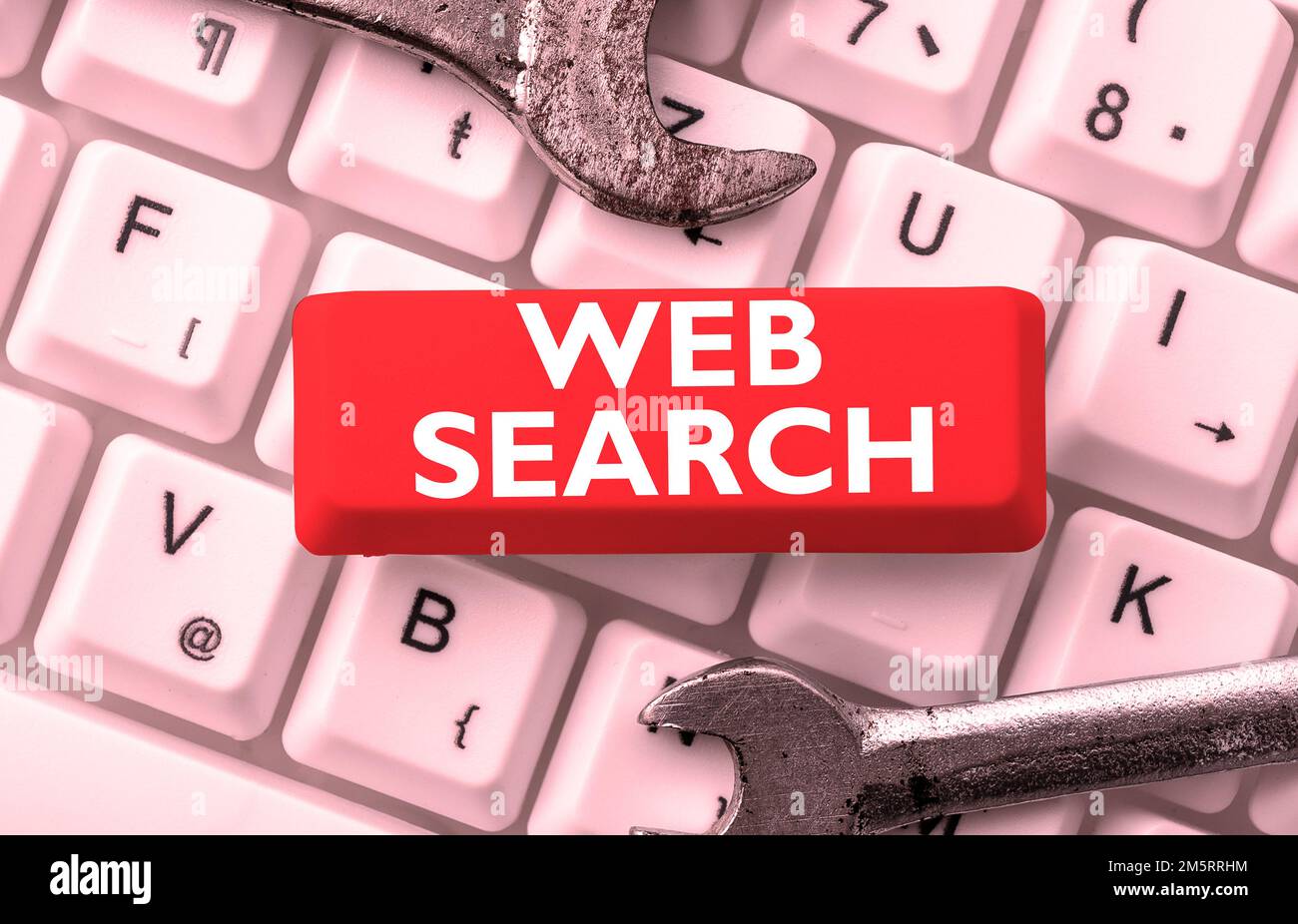 Text caption presenting Web Search. Conceptual photo software system ...