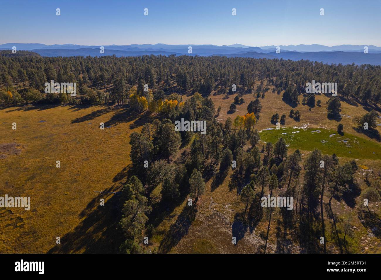 Apache sitgreaves national forest hi-res stock photography and images ...
