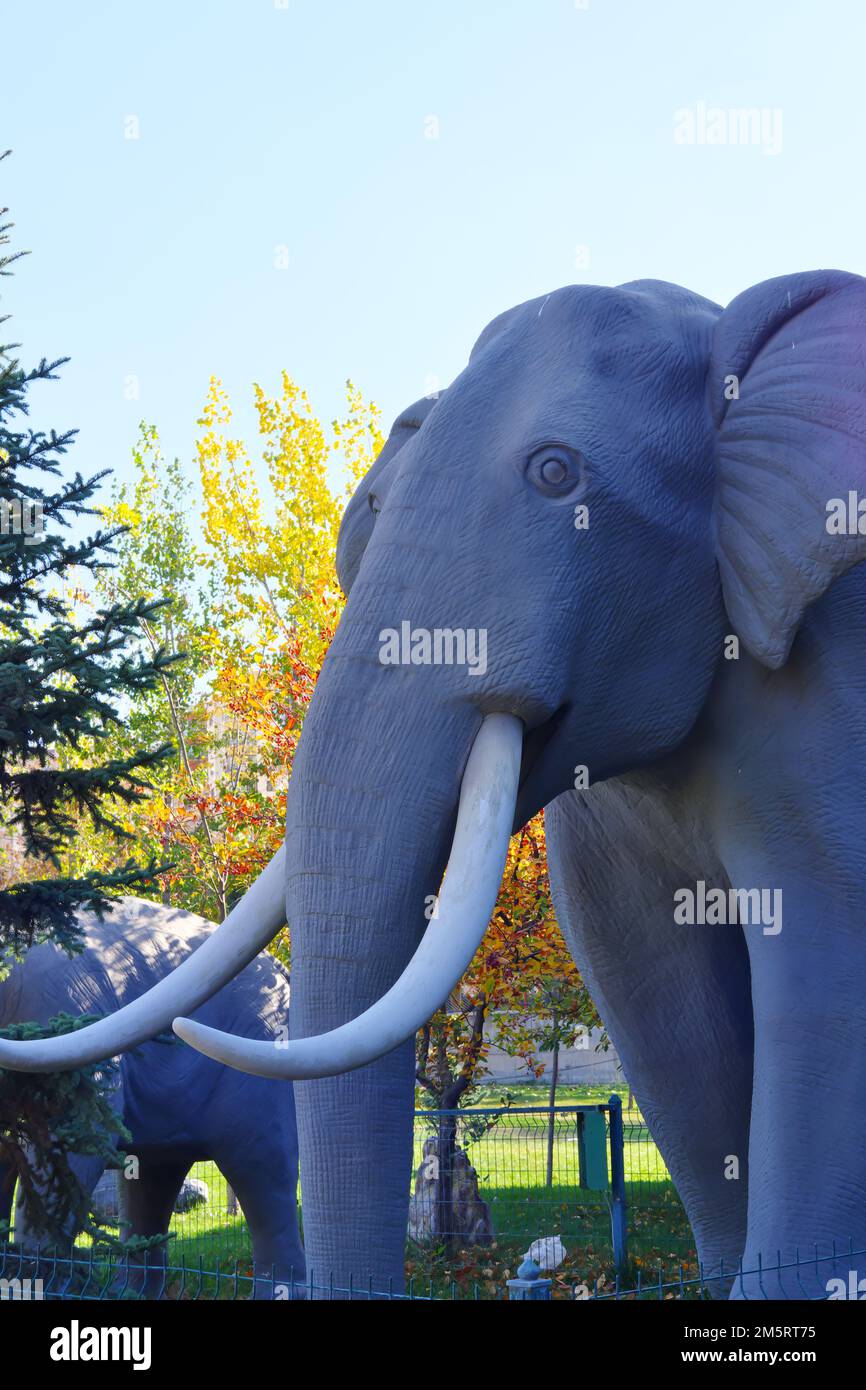 Illustration of mammoth out of a museum within trees. Head and horn ...