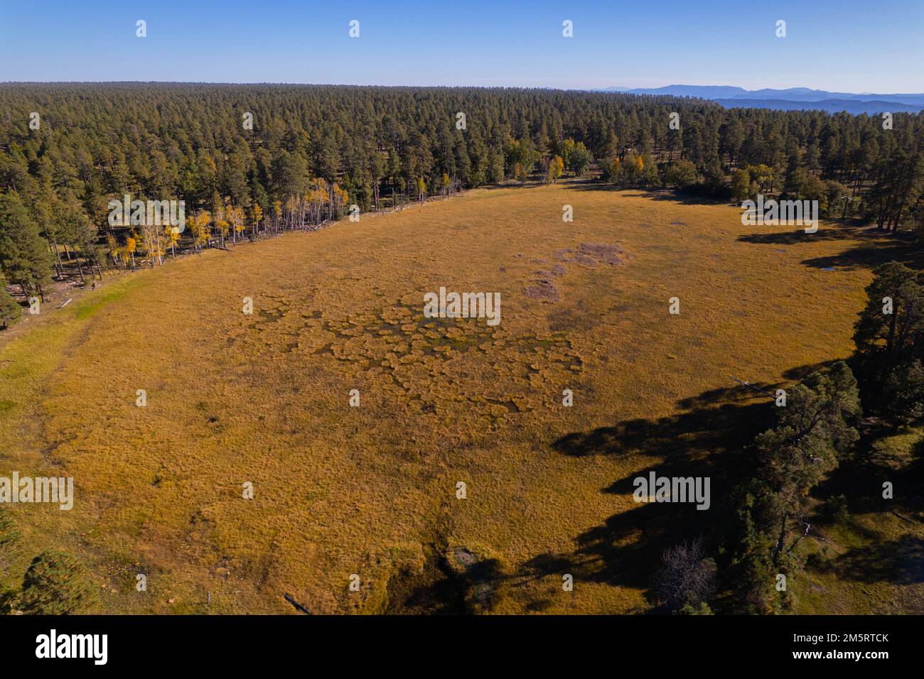 Aerial view of Apache Sitgreaves National Forest Stock Photo - Alamy