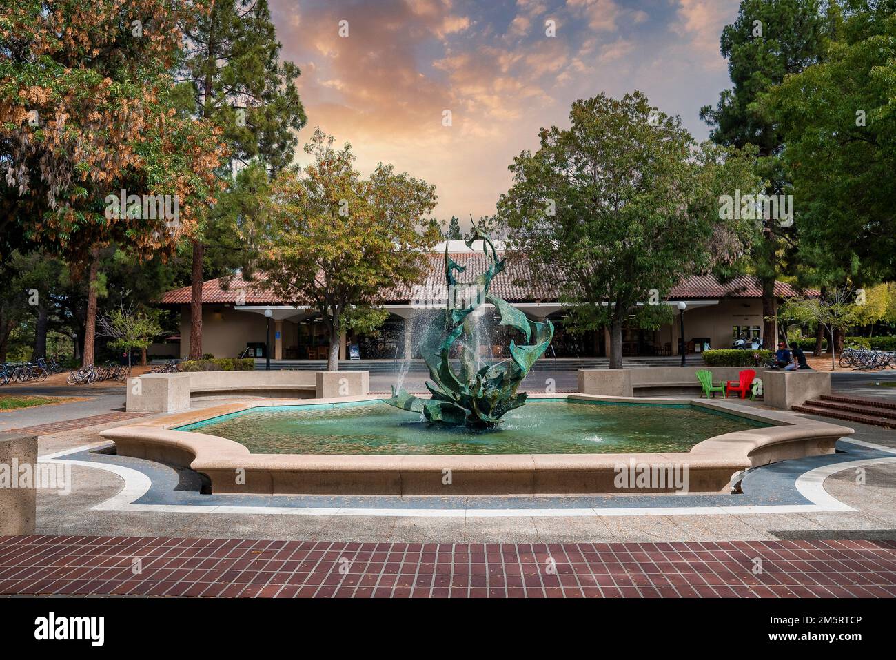Beautiful White Memorial Fountain surrounded with trees at Stanford ...