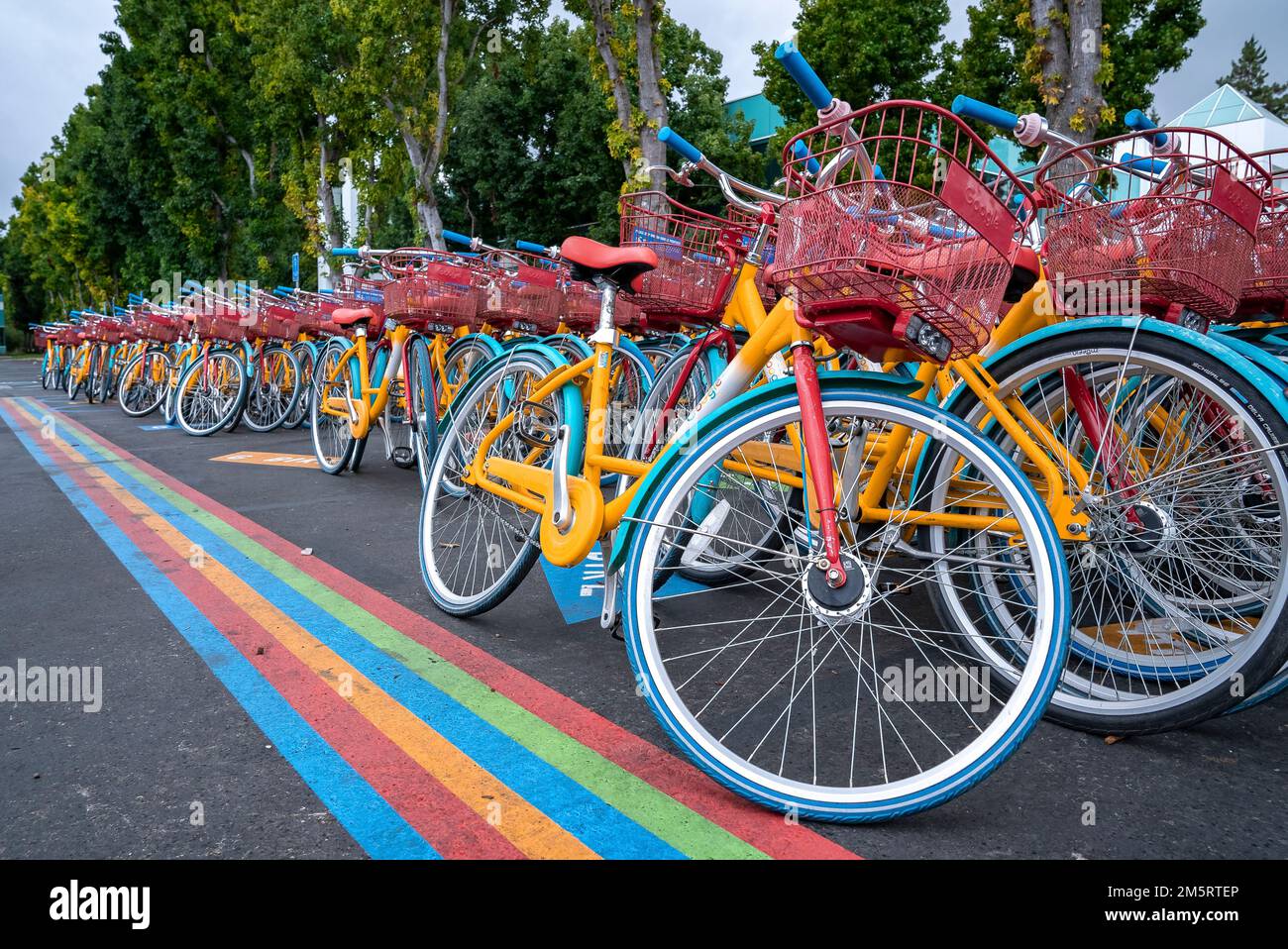 Google Campus Bikes