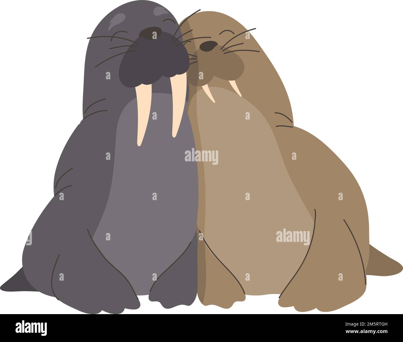 sea lions animals couple love characters Stock Vector Image & Art - Alamy
