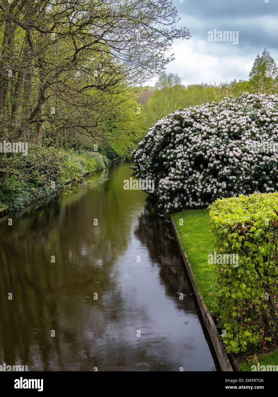 Idyllic natural ambience with water canal in the park Keukenhof in the ...