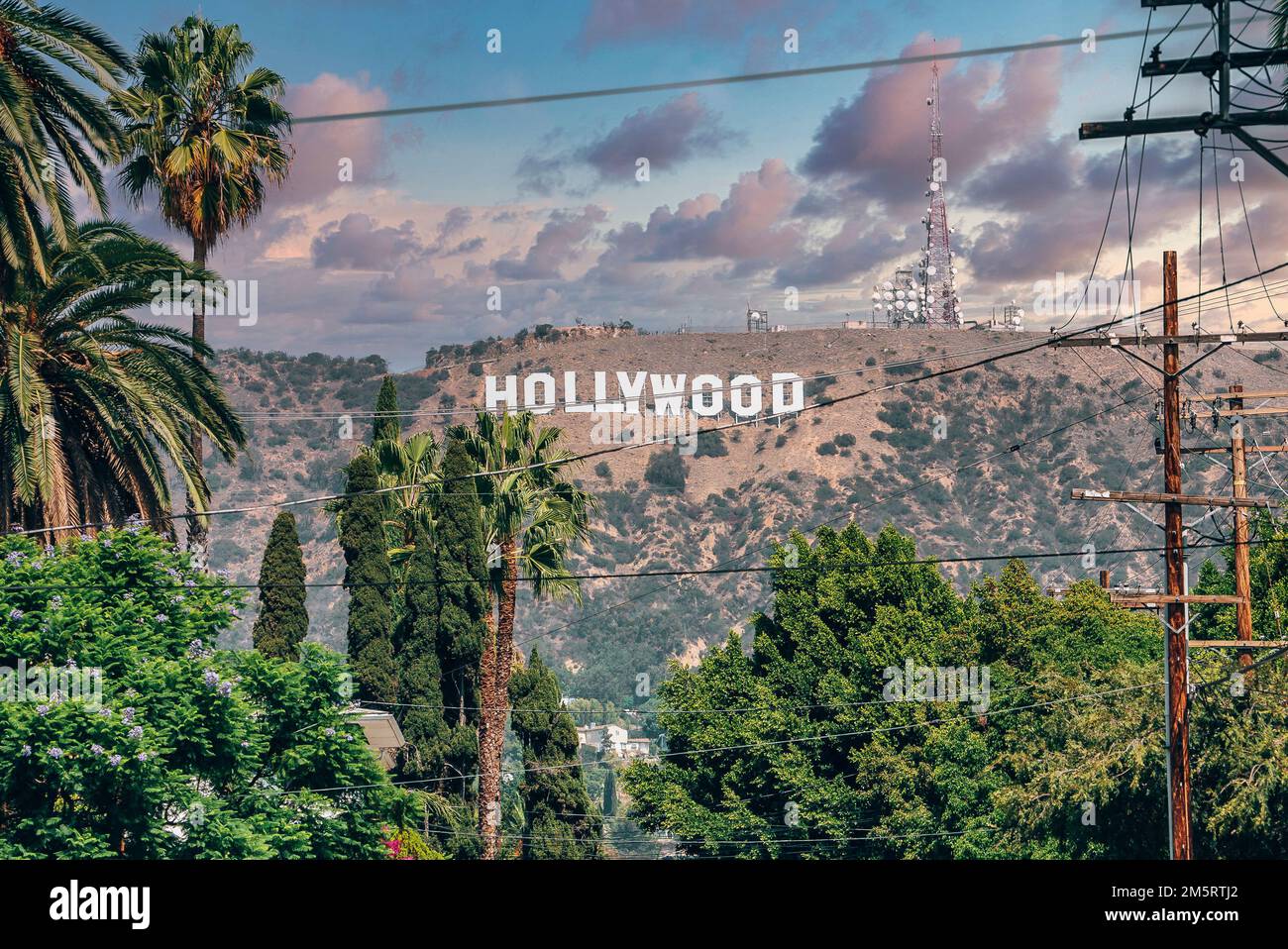 Hollywood sign on Mount Lee seen through electricity pole and trees on ...