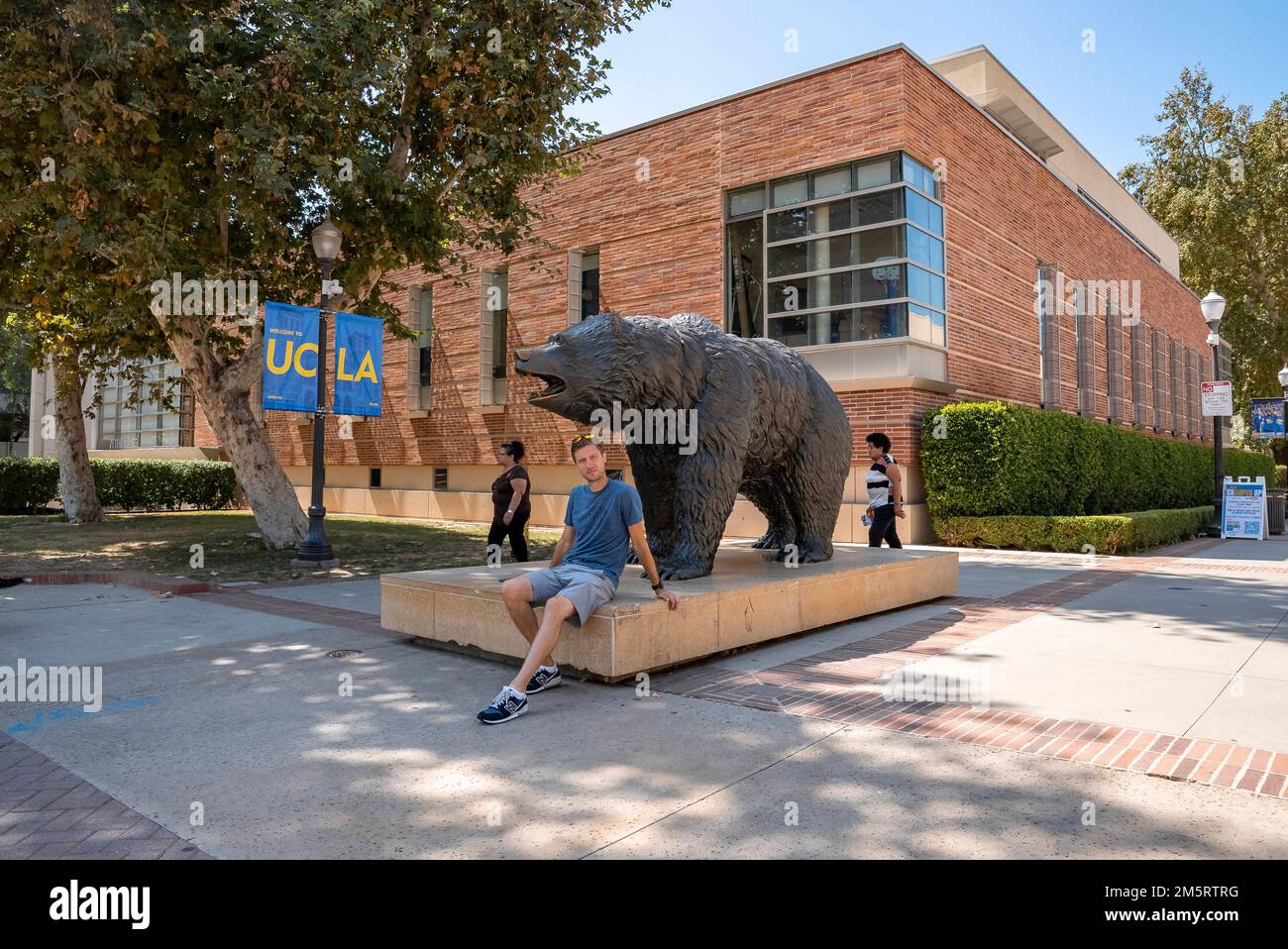Man sitting in front of bronze Bruin sculpture at UCLA campus Stock ...