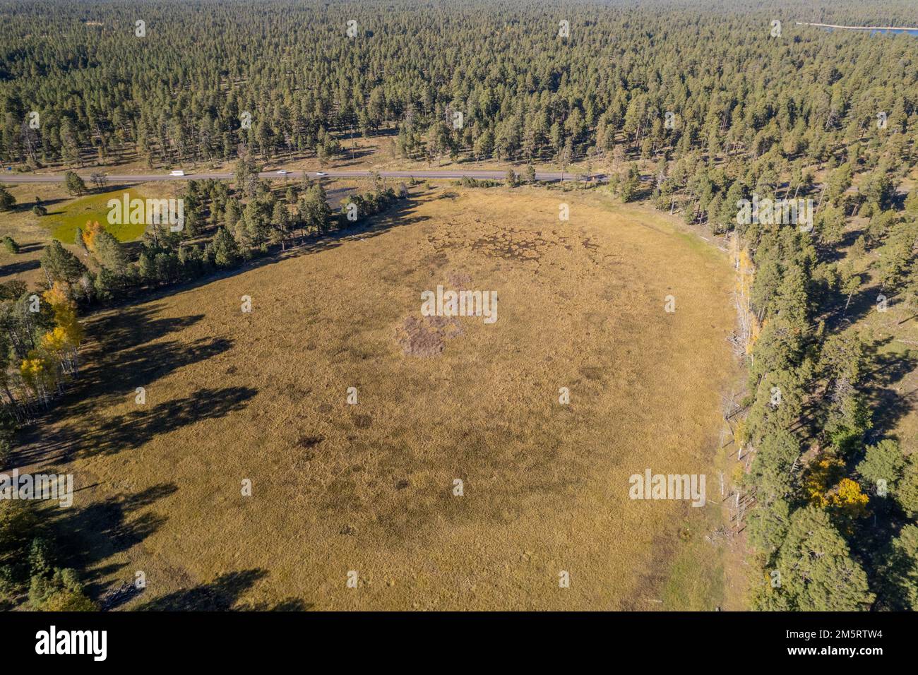 Aerial view of Apache Sitgreaves National Forest Stock Photo - Alamy
