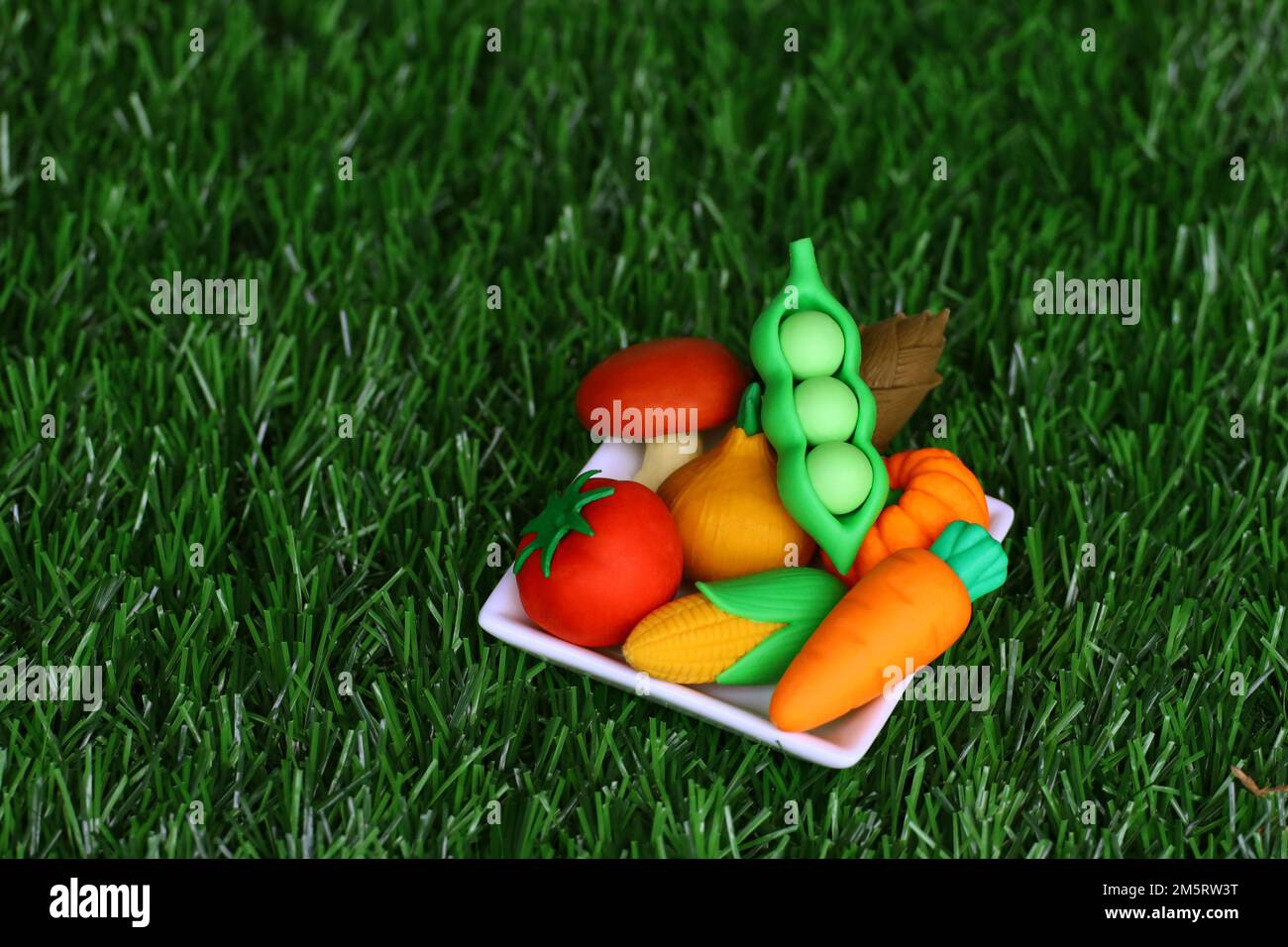 Food model still life with colorful vegetables on a plate Stock Photo ...