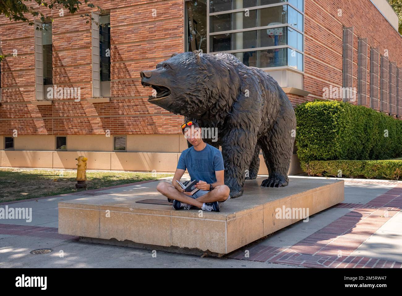 Reading man sculpture hi-res stock photography and images - Alamy