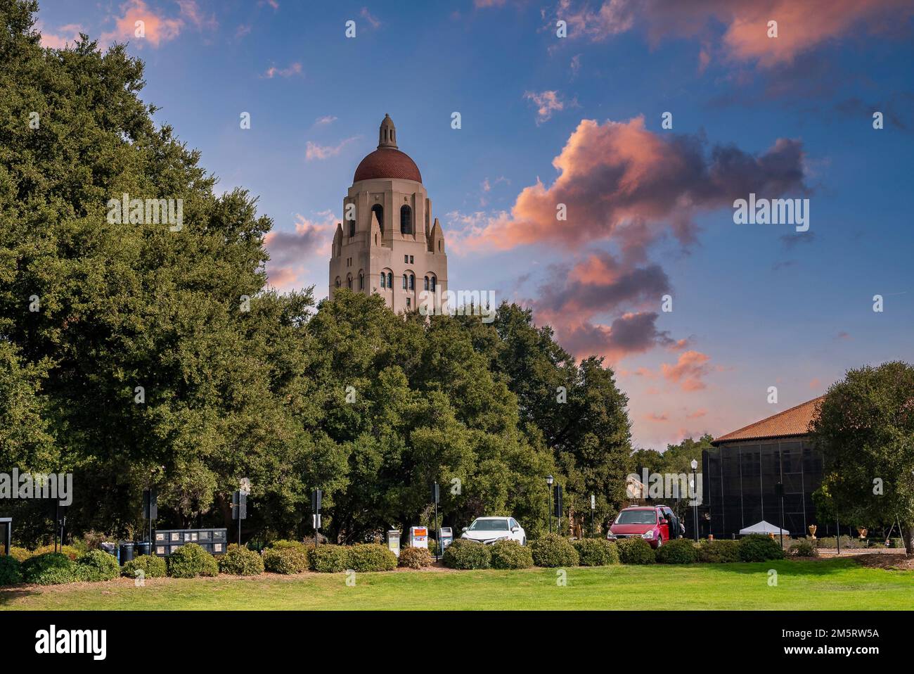 Trees and plants growing in front of Hoover Tower at Stanford ...