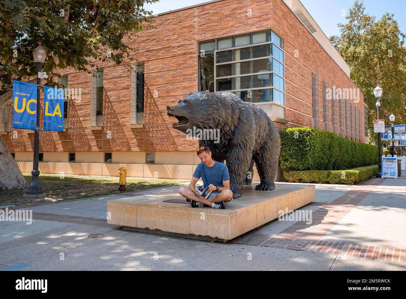 Reading man sculpture hi-res stock photography and images - Alamy
