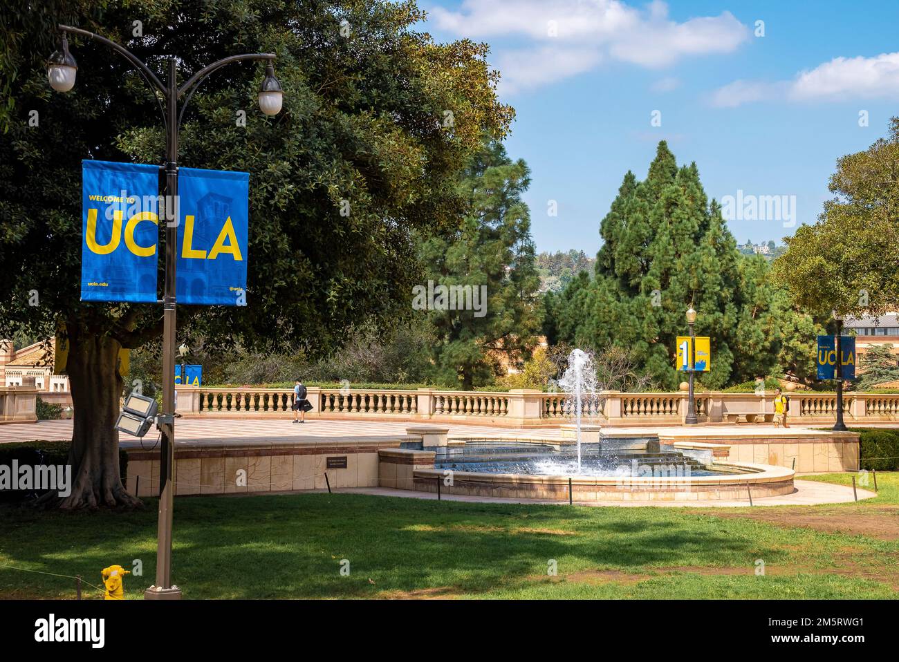 View of fountain and posters hanging on streetlight poles at UCLA ...