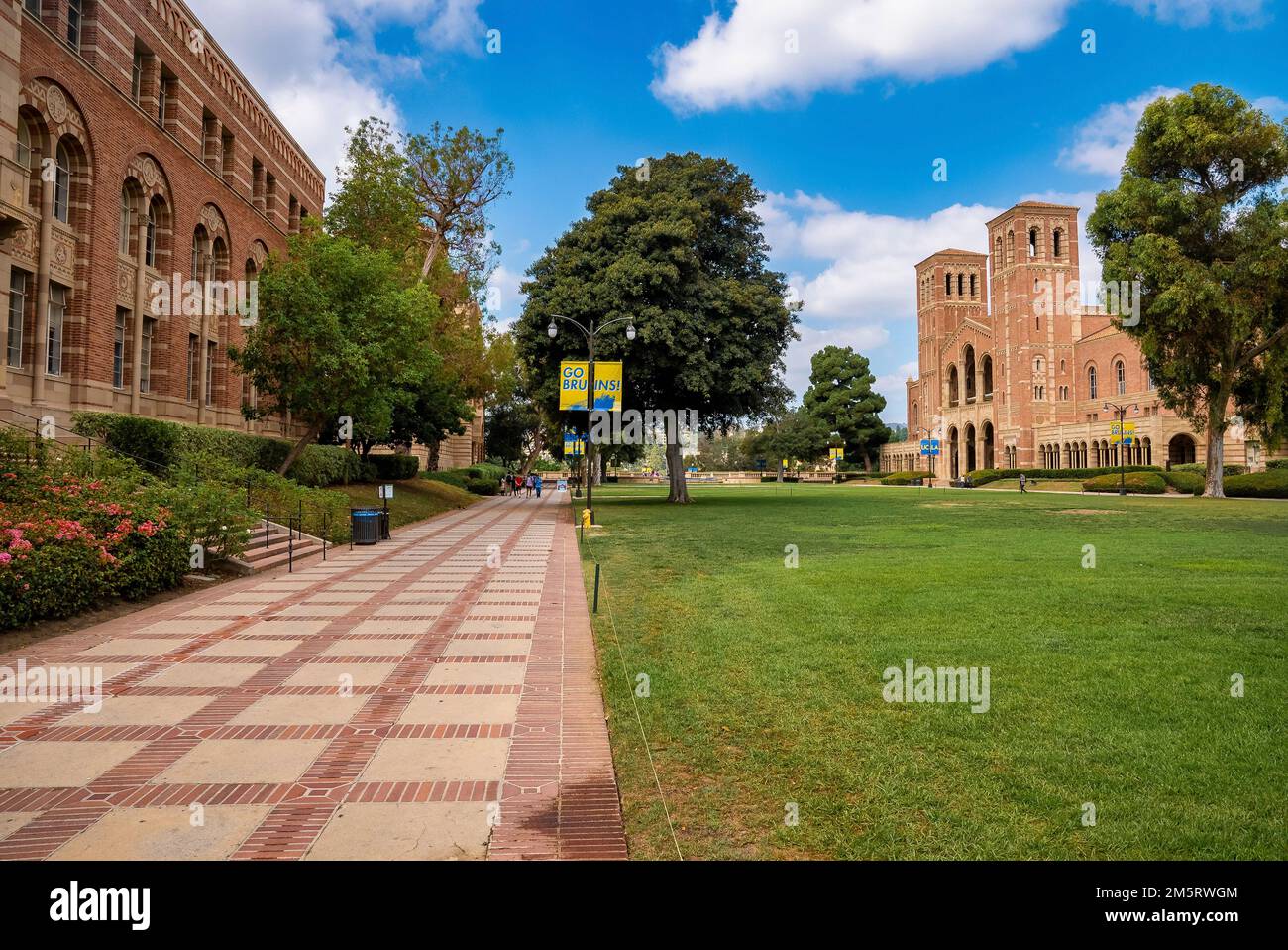 Diminishing perspective of footpath by grassy landscape at UCLA campus ...