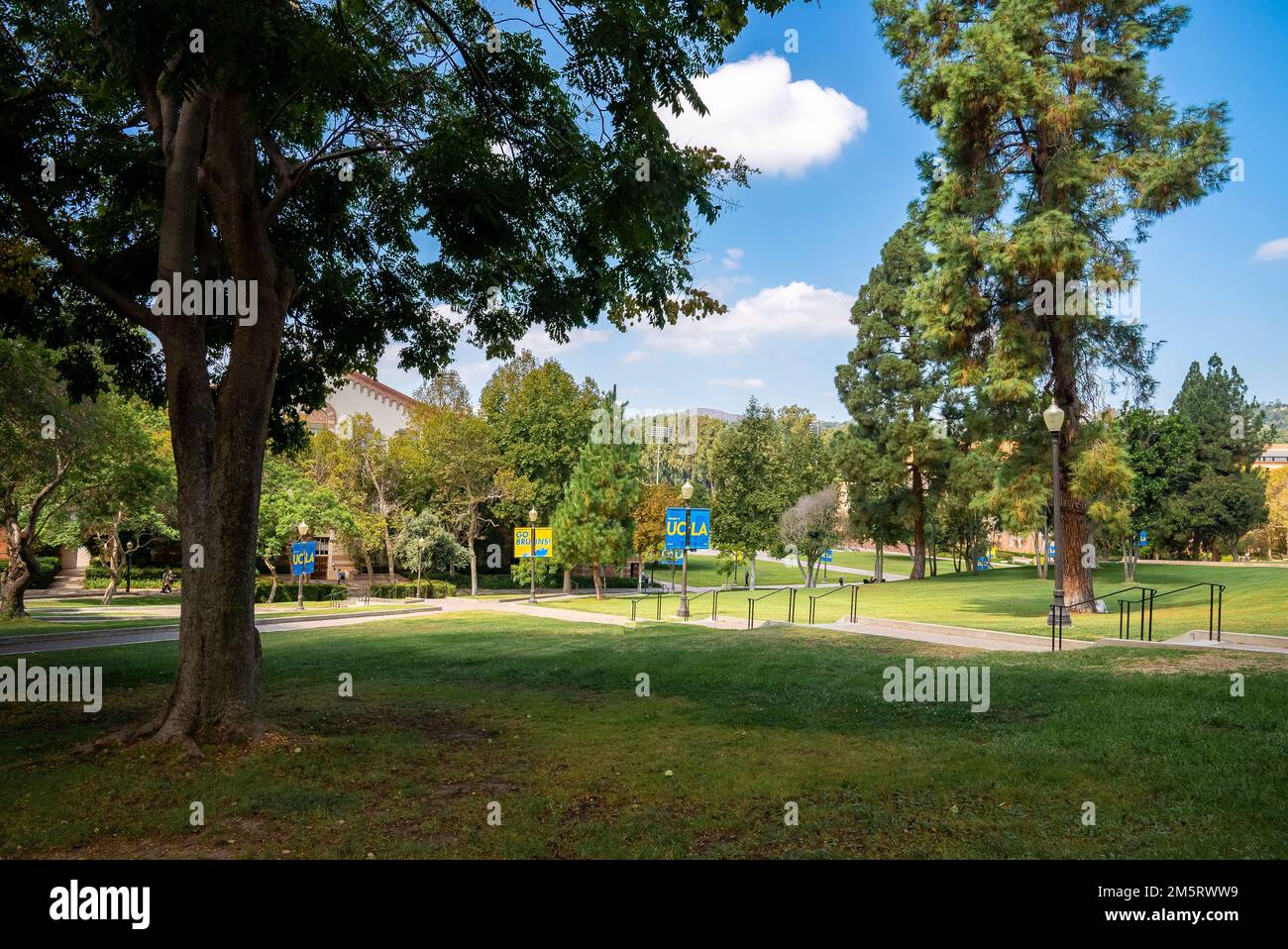 Scenic view of trees growing on grassy landscape at garden in UCLA ...
