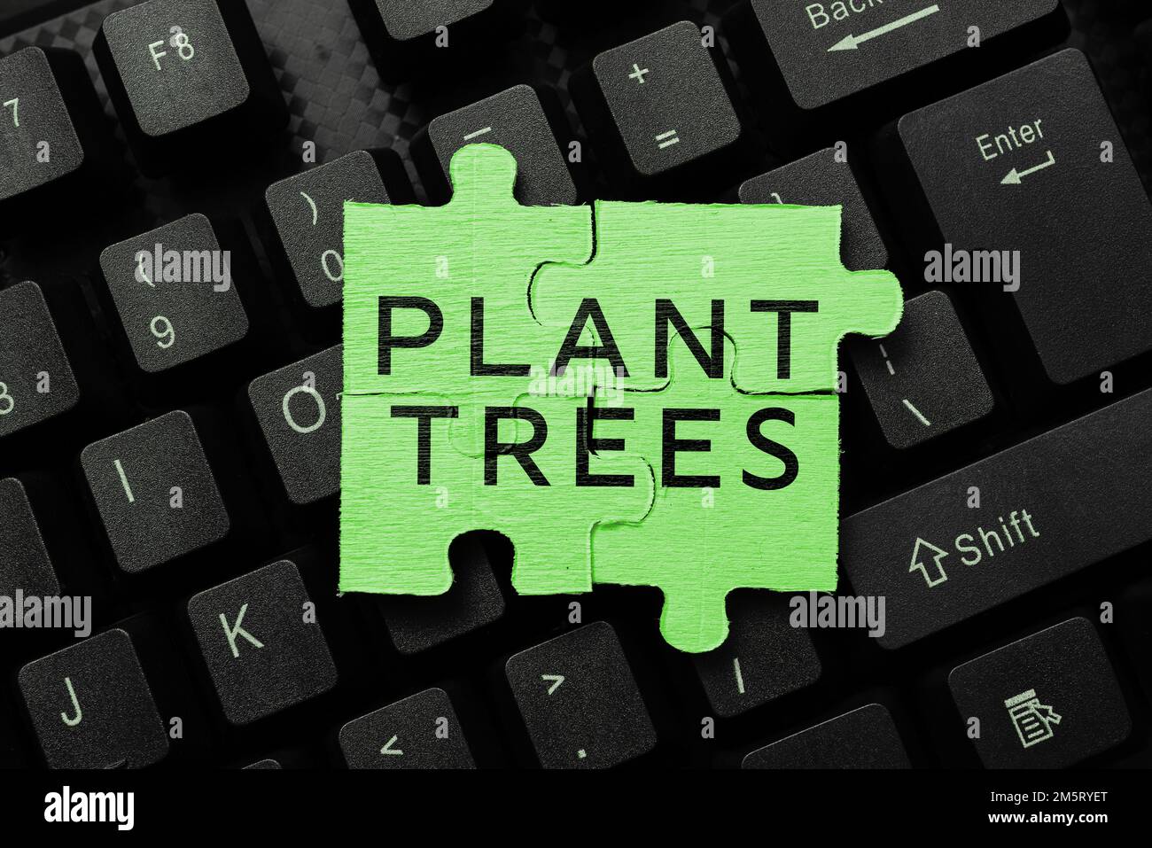 Conceptual display Plant Trees, Conceptual photo process of planting a ...