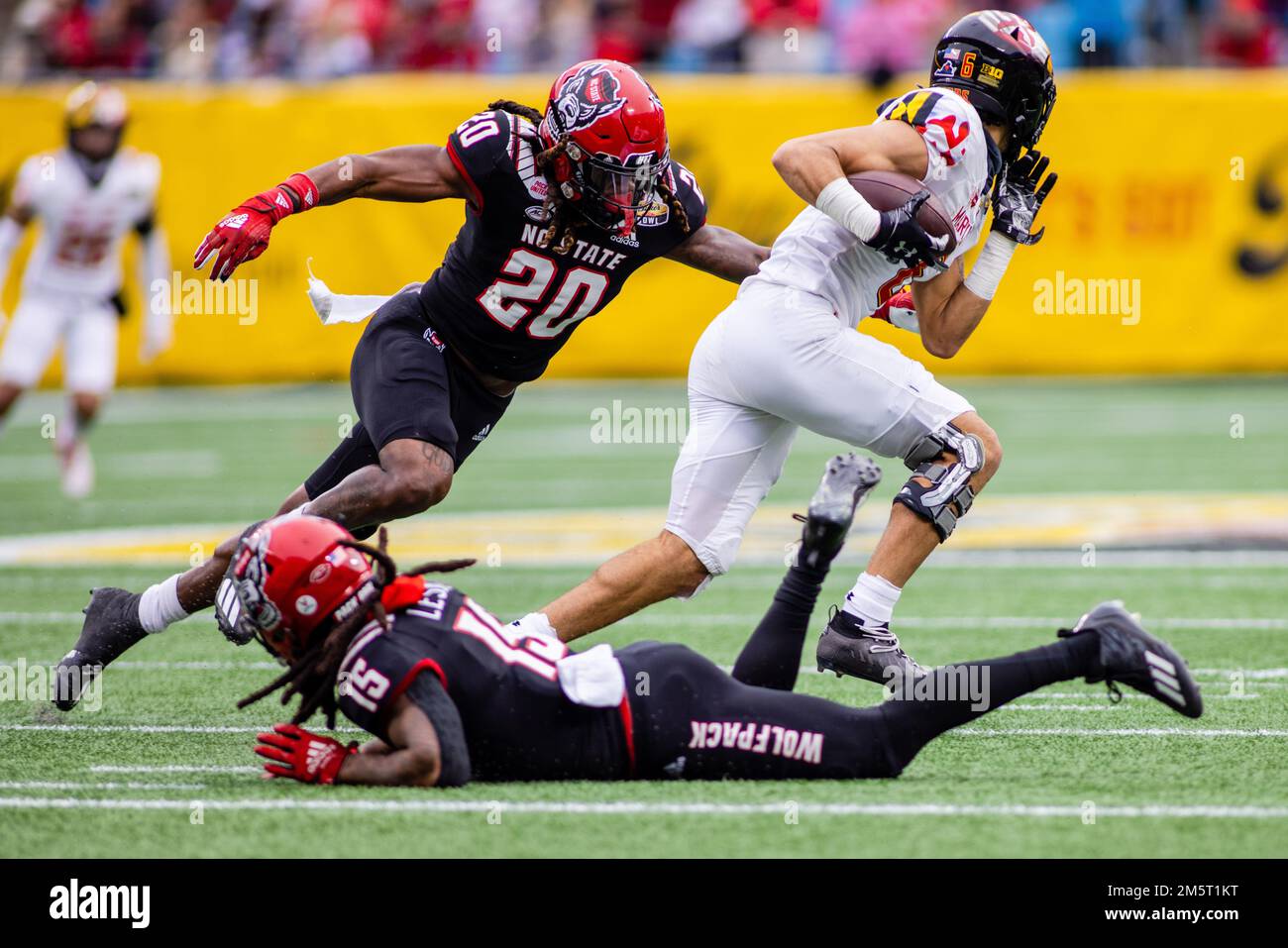 2022 0144 jpg hi-res stock photography and images - Alamy