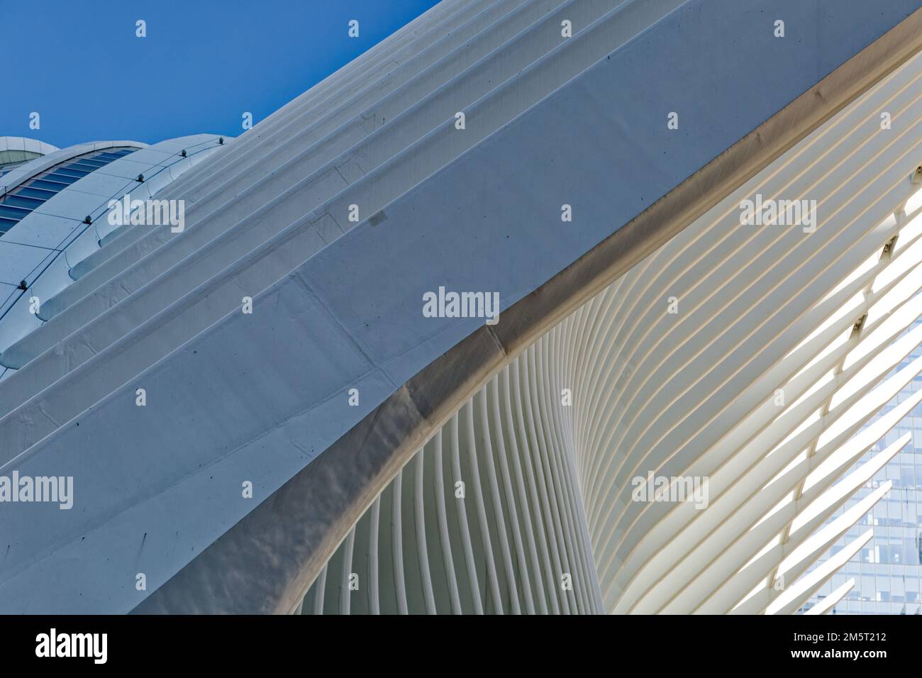 Oculus' pure white ribs soar over the World Trade Center Transportation ...