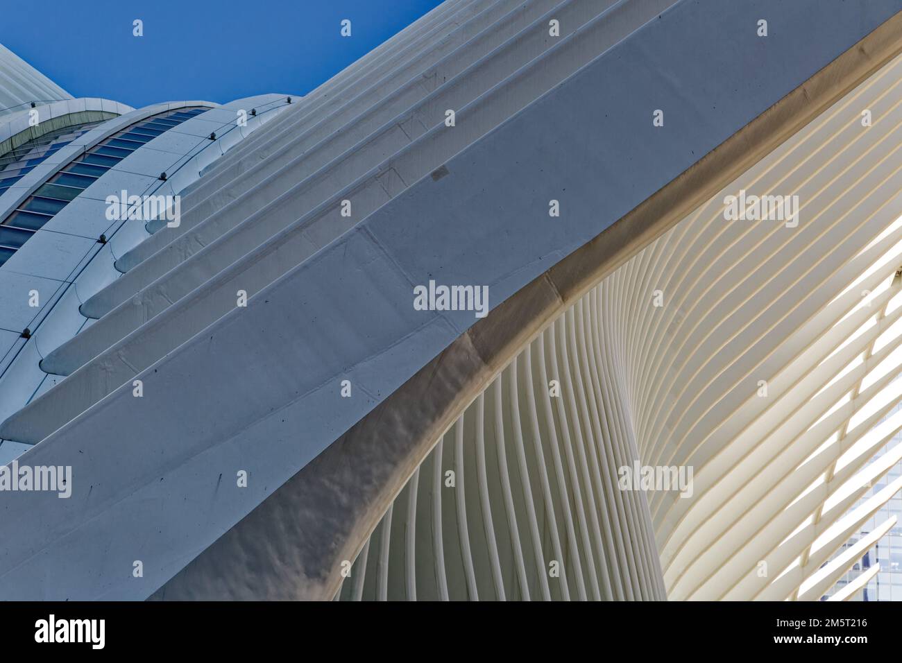 Oculus' pure white ribs soar over the World Trade Center Transportation ...