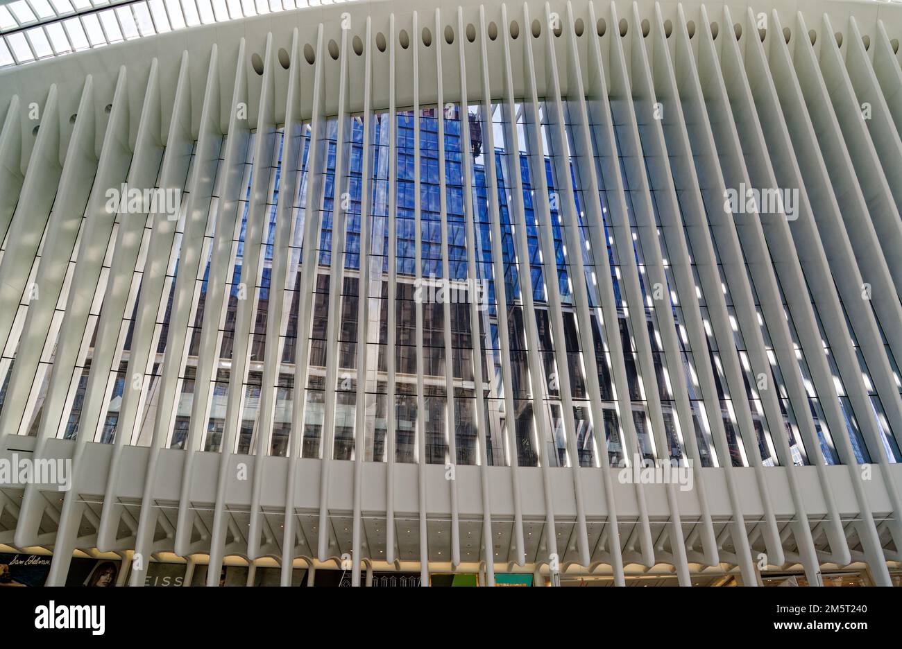 Oculus' pure white ribs soar over the World Trade Center Transportation ...