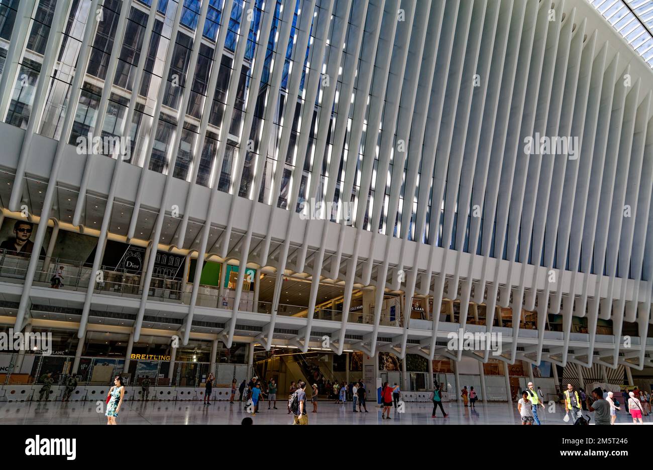 Oculus' pure white ribs soar over the World Trade Center Transportation ...