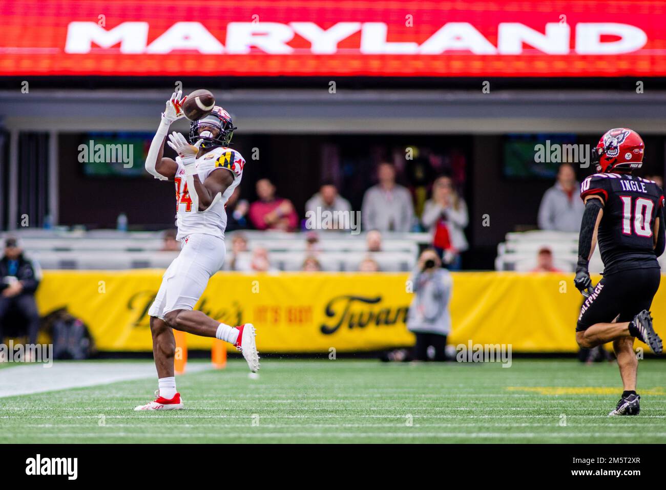 2022 0173 jpg hi-res stock photography and images - Alamy